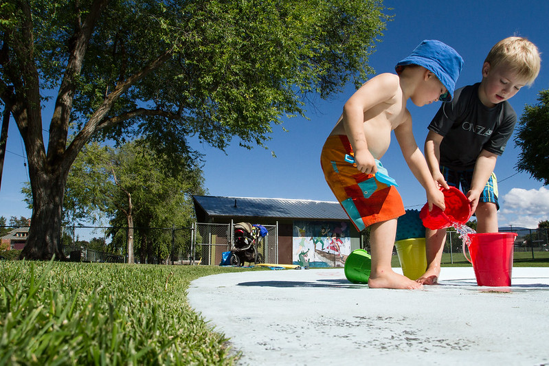 Trees in Lakeview Park to be replaced as part of wading pool ...